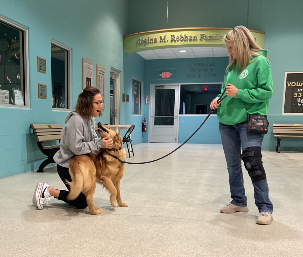 Tues. 11 a.m.: Golden retriever will aid crime victims | News, Sports ...